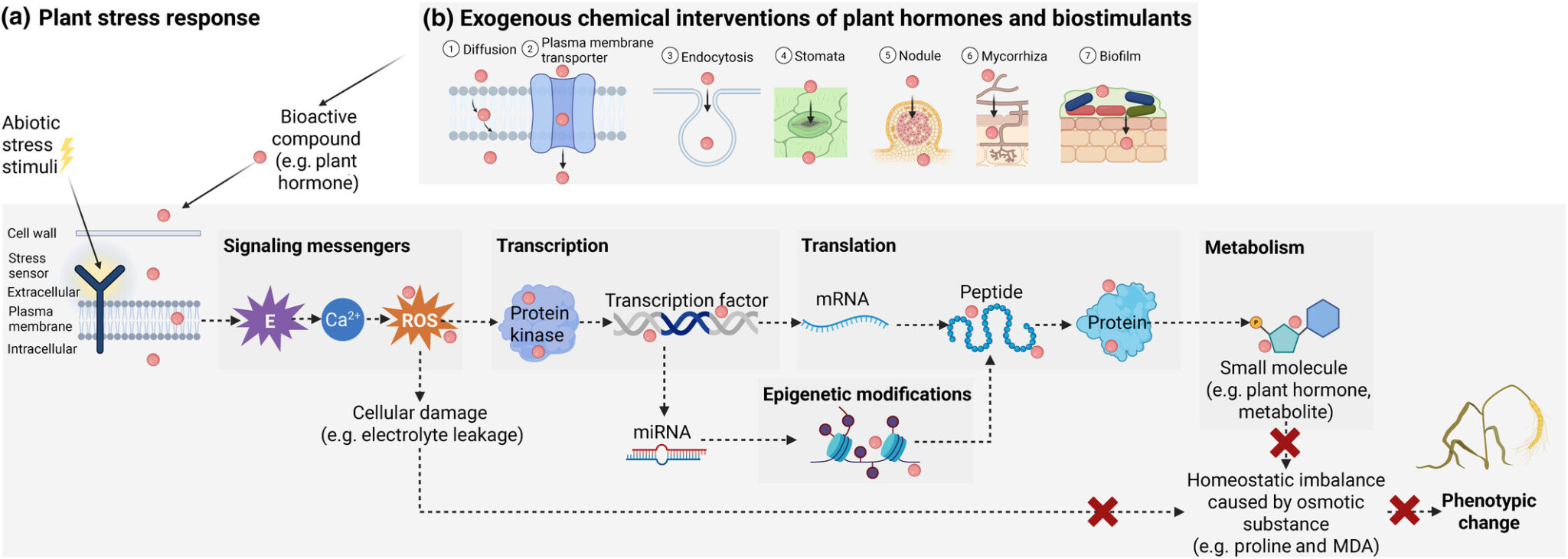 The optimization of crop response to climatic stress through modulation ...